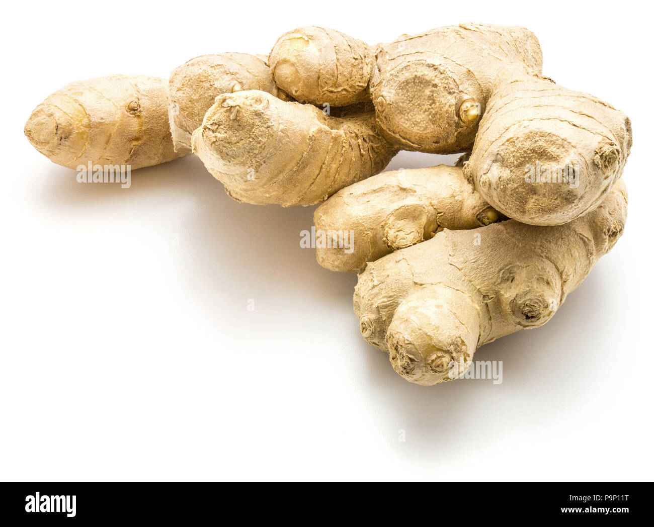 Ginger rhizome isolated on white background two roots Stock Photo - Alamy