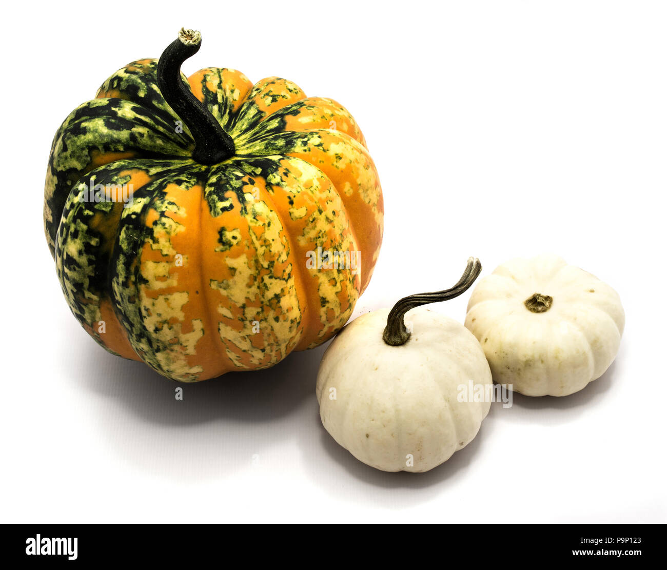 Three whole colorful pumpkins (two spotty green yellow, one white ...