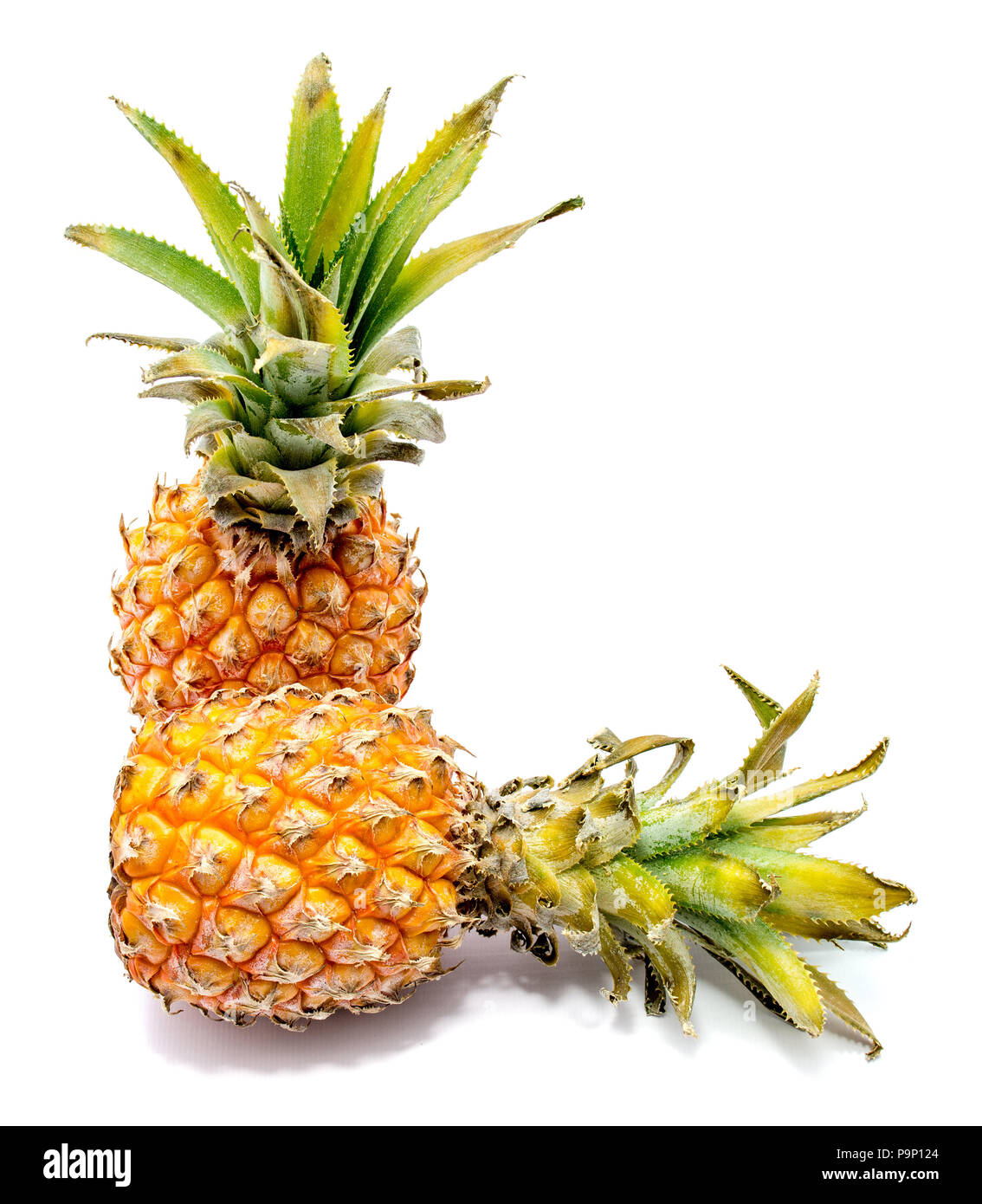 Two whole pineapples isolated on white background Stock Photo - Alamy