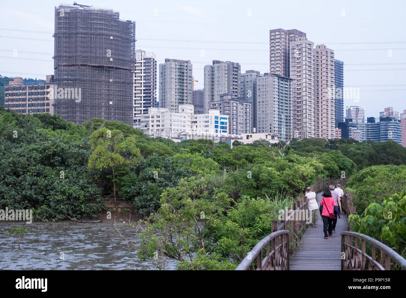 Damshui,Tamsui River Mangrove Conservation Area,Tamsui,port,sea,river ...
