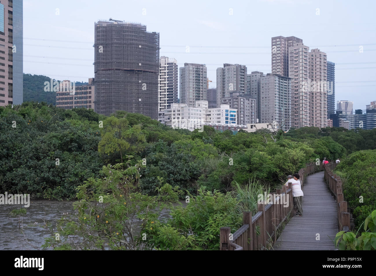 Tamsui river mangrove conservation area hi-res stock photography and ...