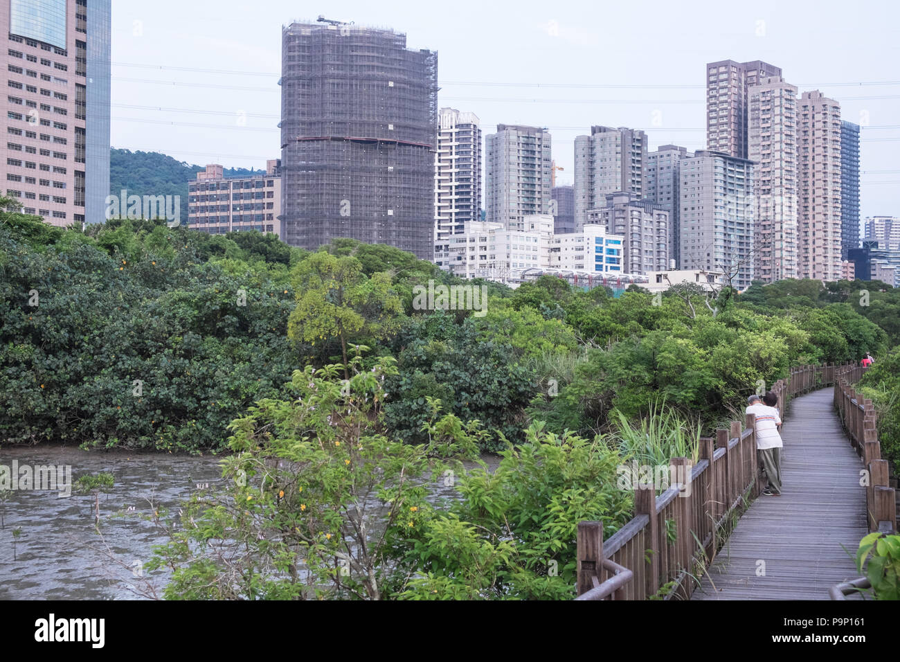 Tamsui river mangrove conservation area hi-res stock photography and ...