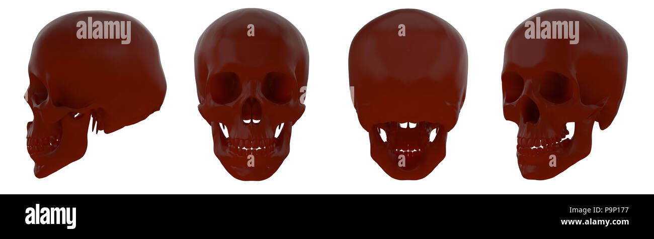 3d rendering illustration of skull Stock Photo - Alamy