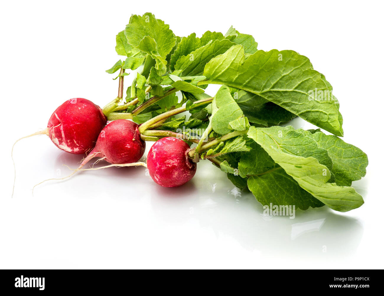 Three whole red radish with fresh green leaves isolated on white ...