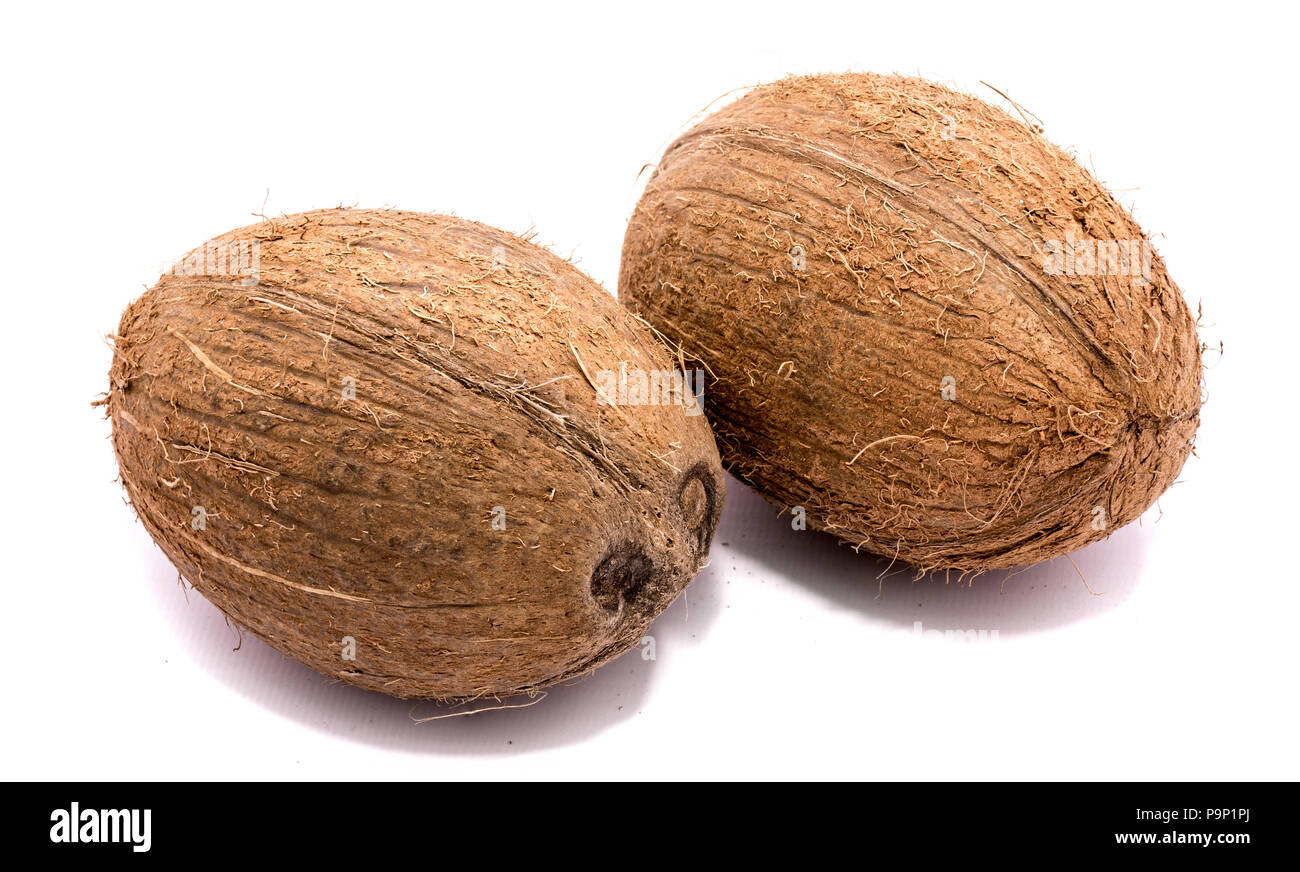 Two whole coconuts isolated on white background Stock Photo - Alamy