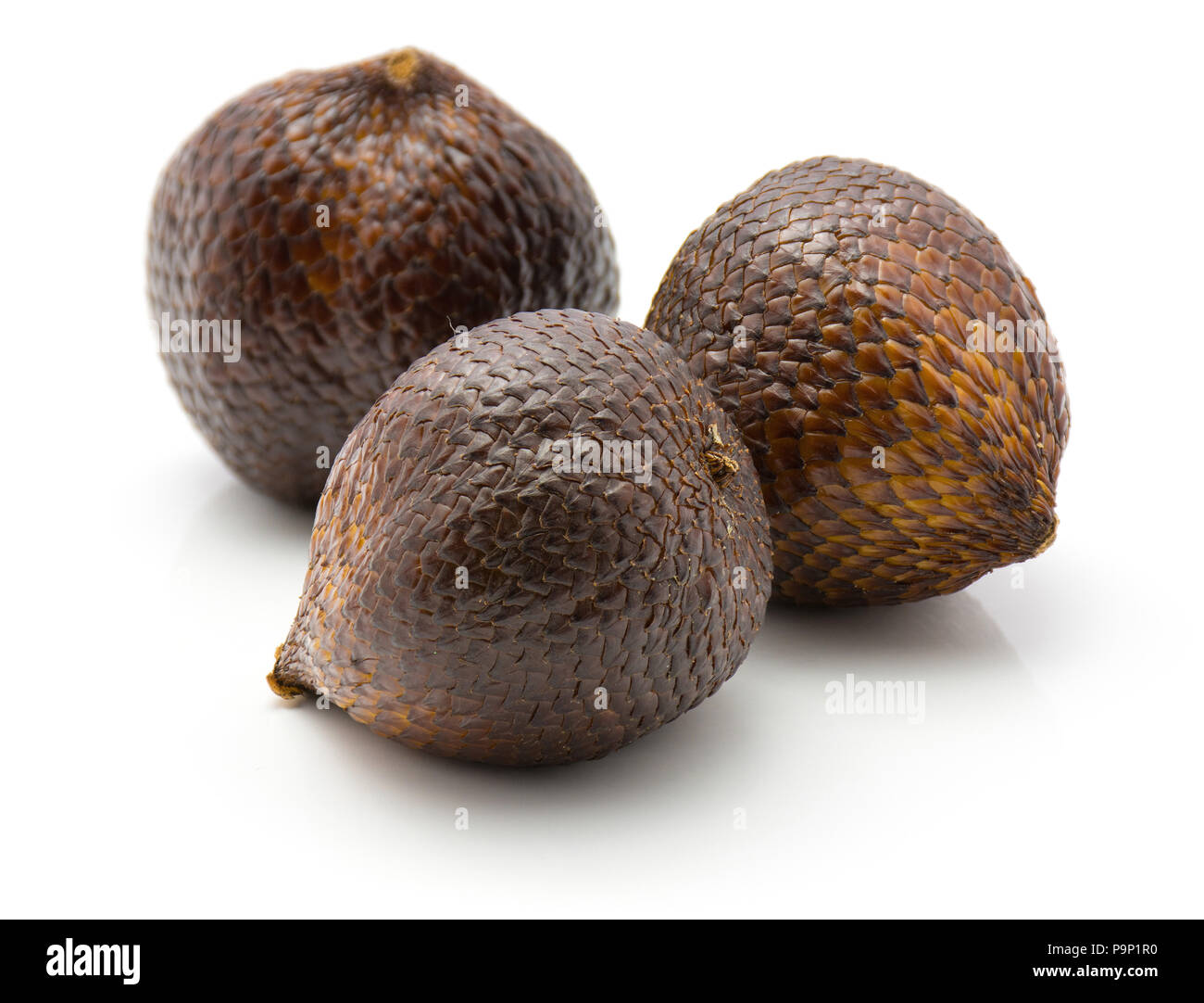 Salah pondoh hi-res stock photography and images - Alamy