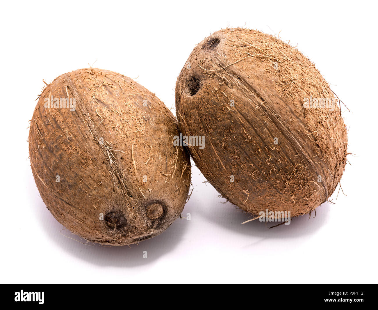 Two whole coconuts isolated on white background Stock Photo - Alamy