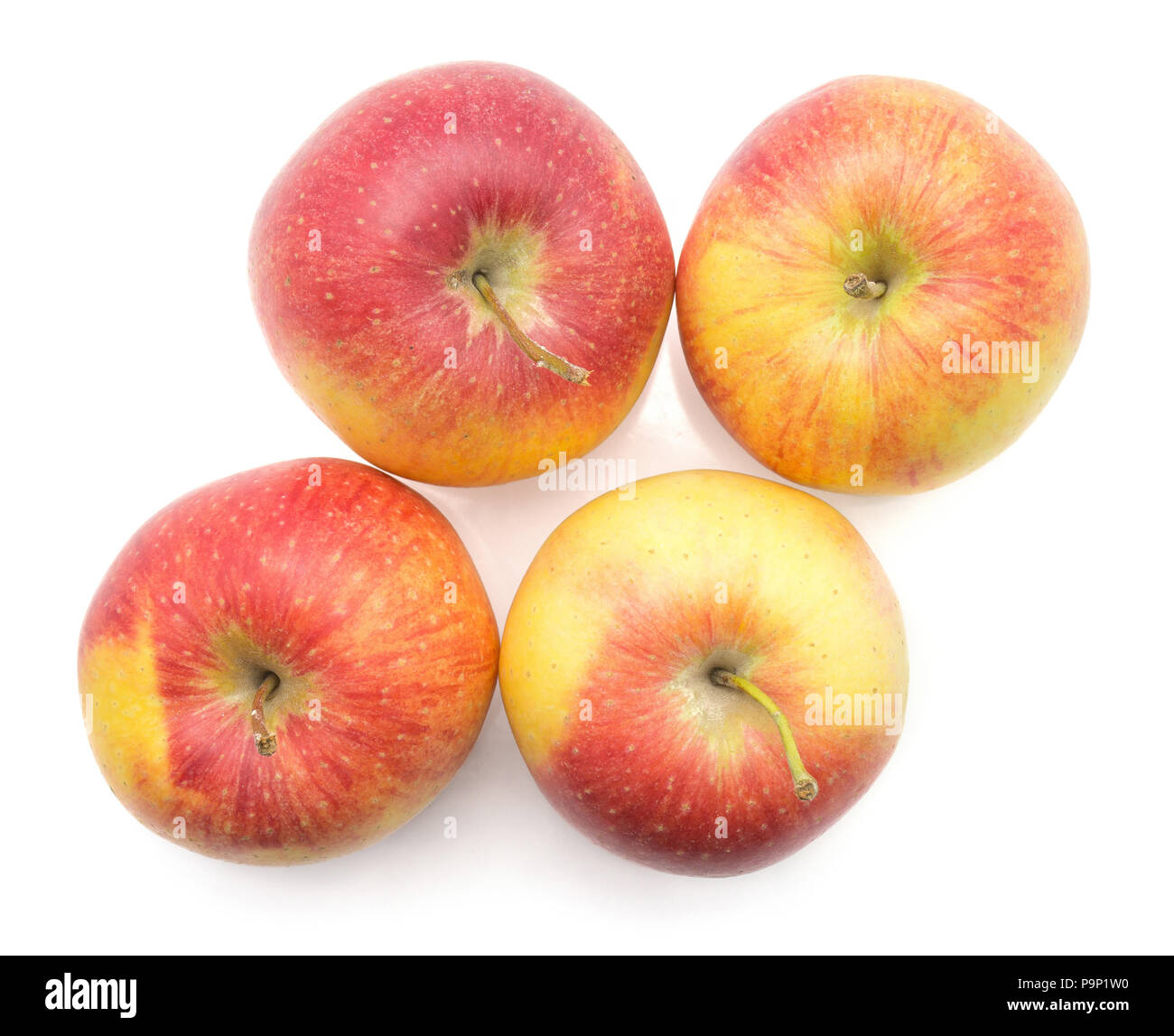 Four apples (Evelina variety) isolated on white background top view ...