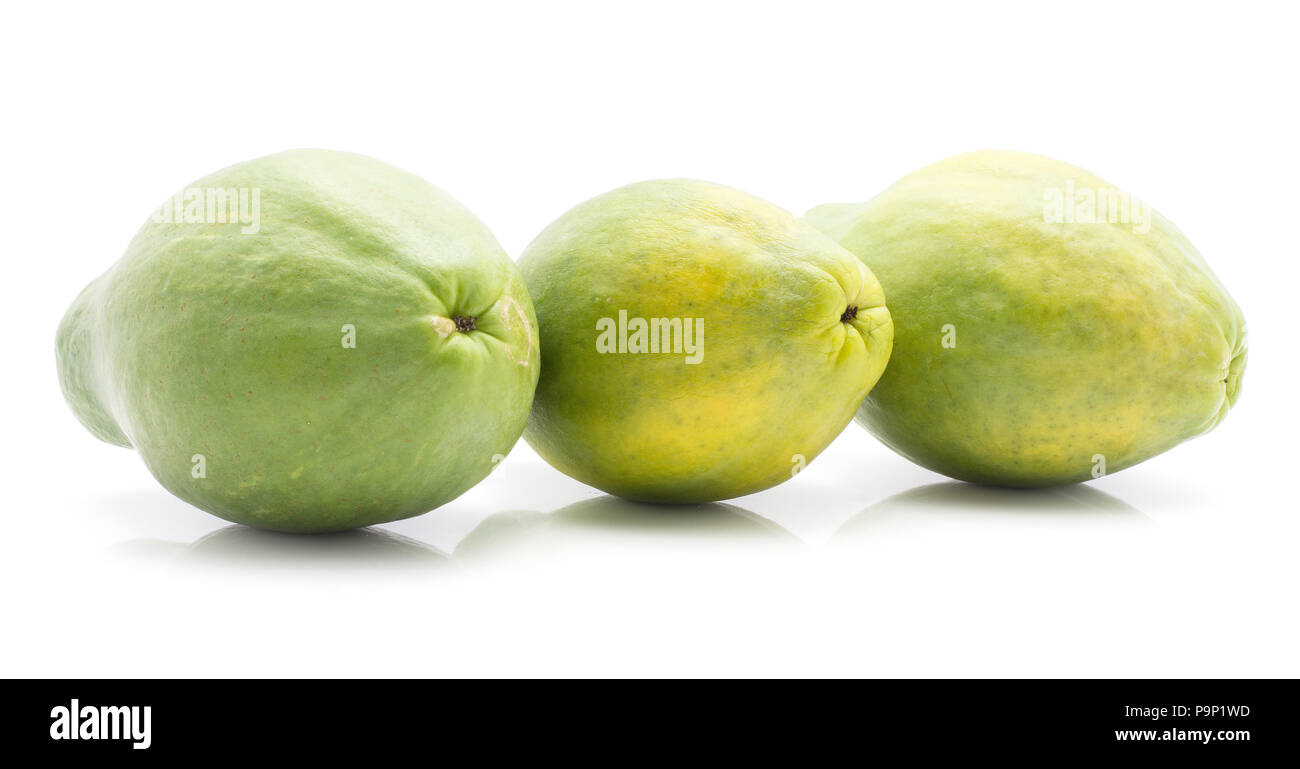 American pawpaw Cut Out Stock Images & Pictures - Alamy