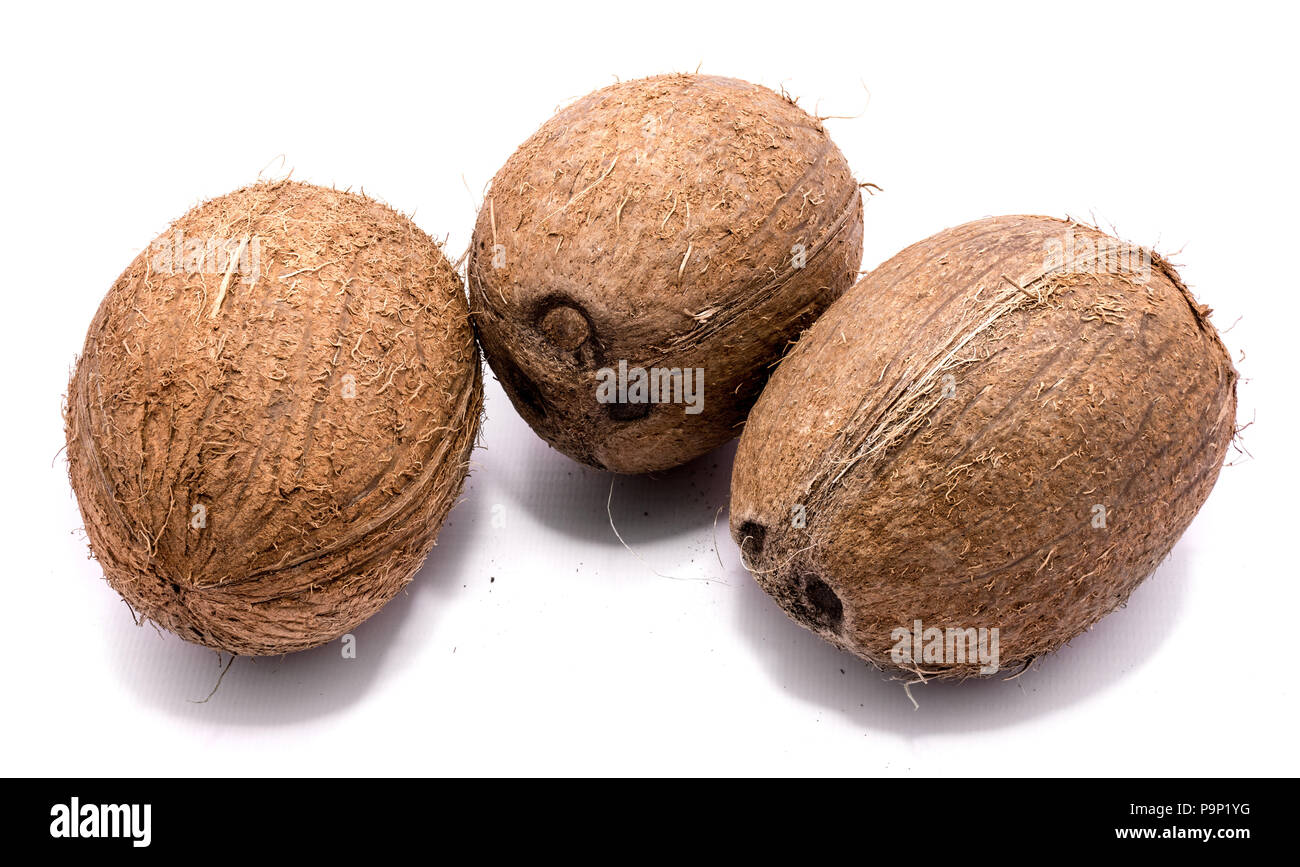 Three whole coconuts isolated on white background Stock Photo - Alamy
