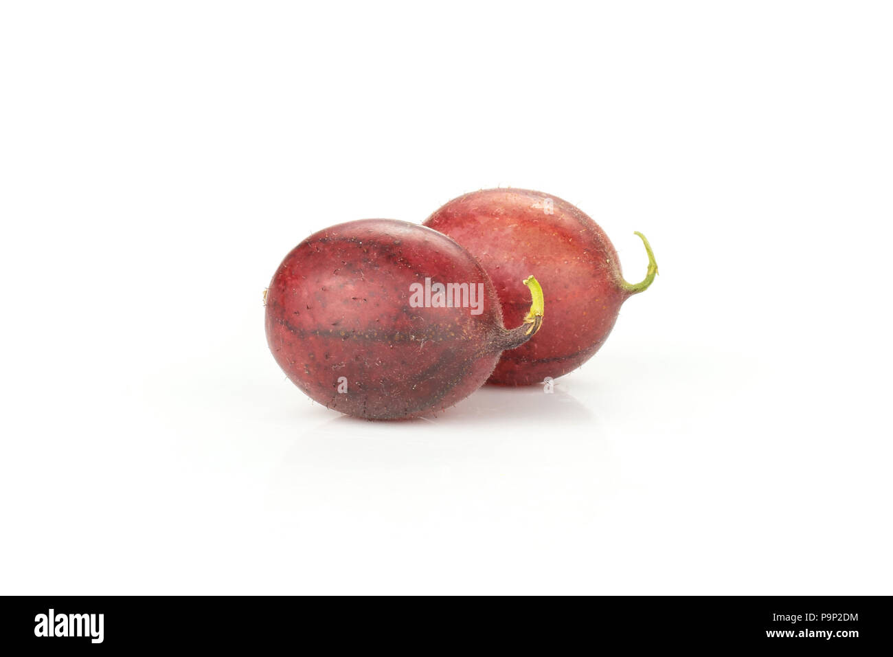 Group of two whole fresh red gooseberry hinnomaki variety ripe isolated ...