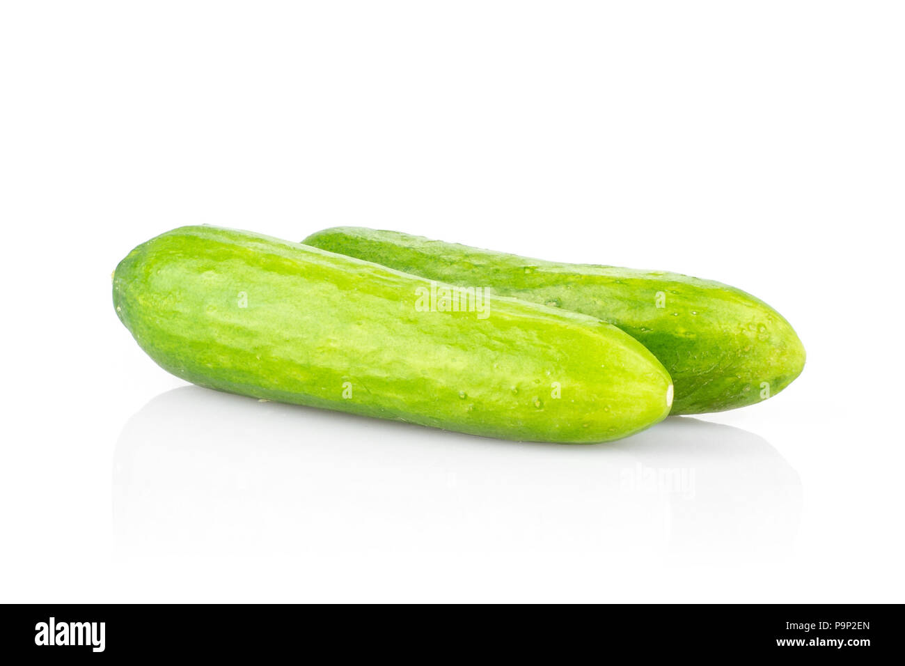 Mini greenhouse Cut Out Stock Images & Pictures - Alamy