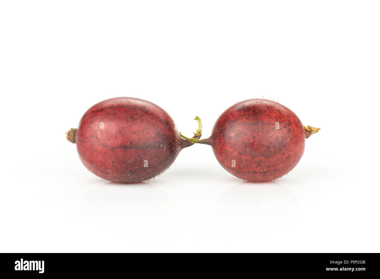 Group of two whole fresh red gooseberry hinnomaki variety isolated on ...