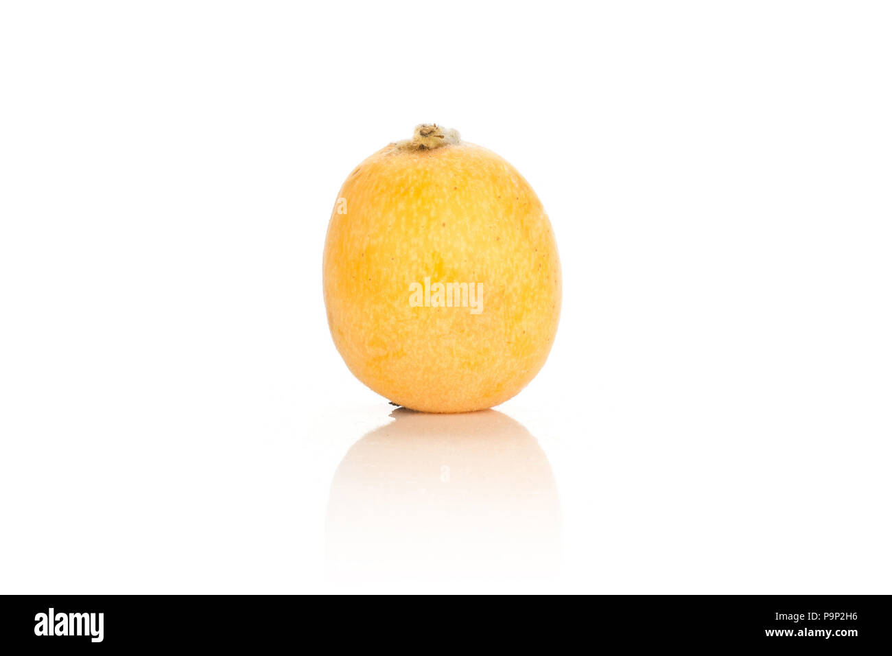 One fresh orange Japanese loquat isolated on white background Stock ...