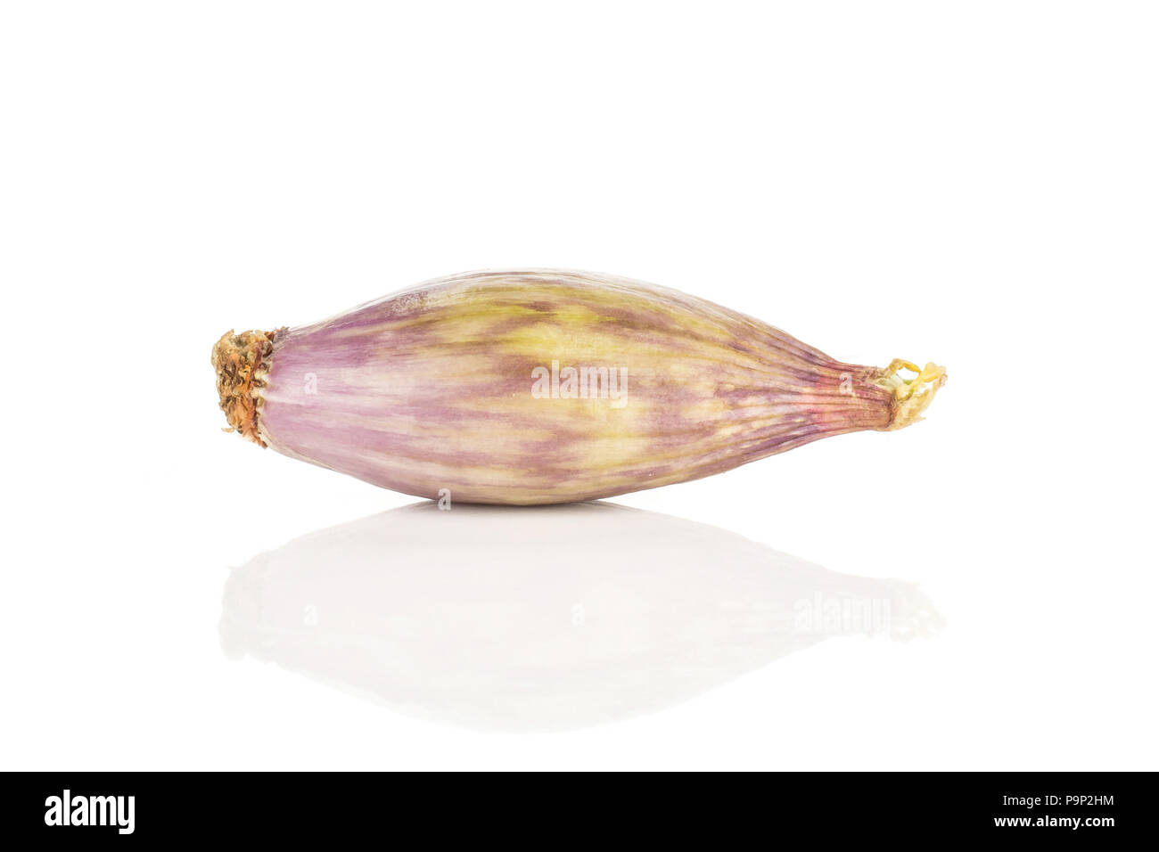 One peeled golden shallot isolated on white background green purple ...