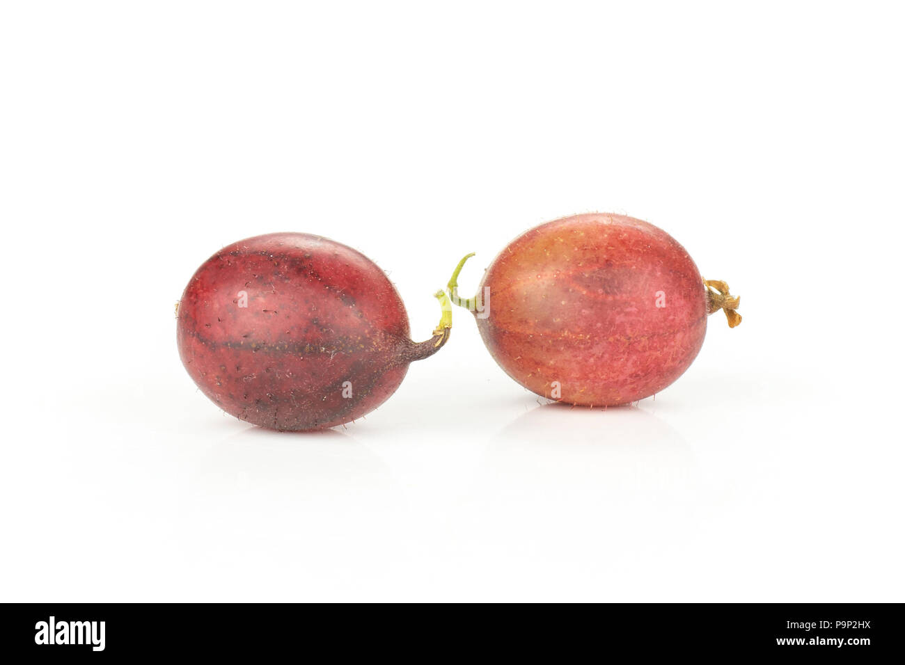 ‘hinnomaki red’ gooseberry hi-res stock photography and images - Alamy