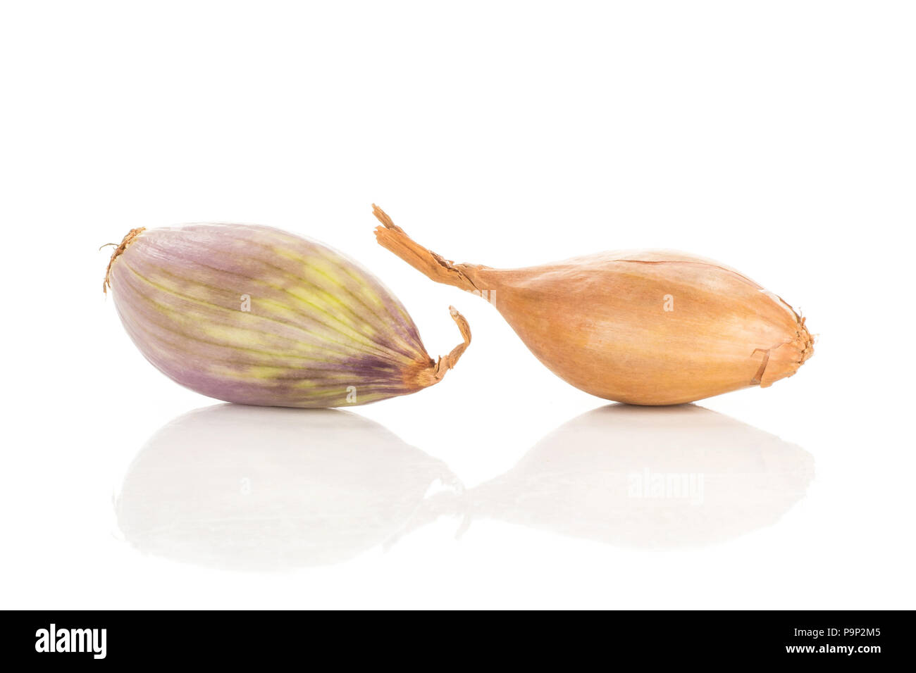 Two shallots one in golden husk and one peeled isolated on white ...