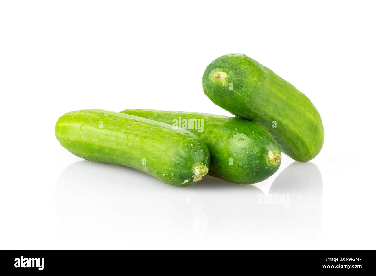 Mini greenhouse Cut Out Stock Images & Pictures - Alamy