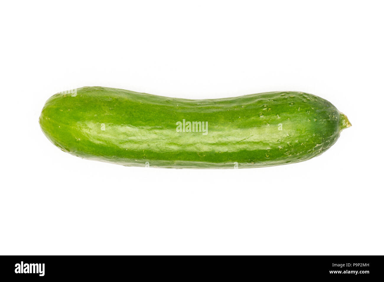 One fresh mini cucumber flatlay isolated on white background Stock ...