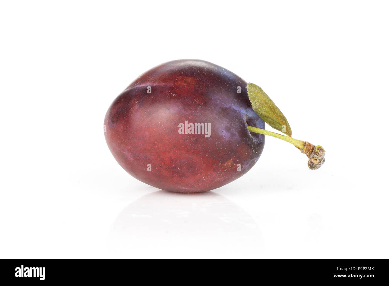 One whole fresh violet-blue plum vibrant moyer variety with a small ...
