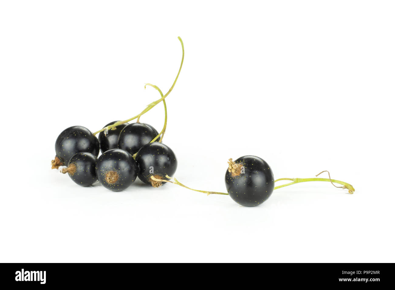 Lot of whole fresh black currant berry ben gairn variety one berry is ...