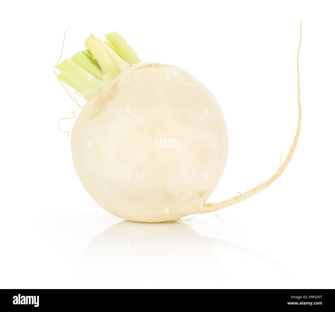 White radish one bulb isolated on white background Stock Photo - Alamy