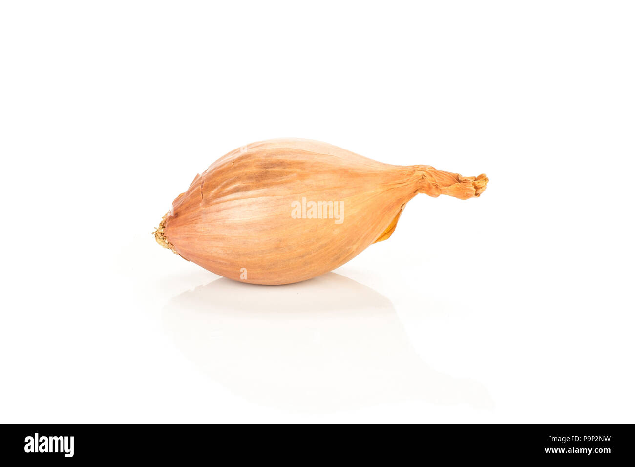 One shallot in a golden husk isolated on white background Stock Photo ...