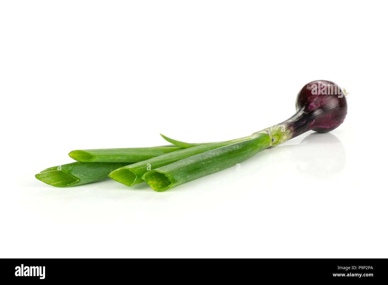 One whole fresh green spring onion red scallion variety cut top ...