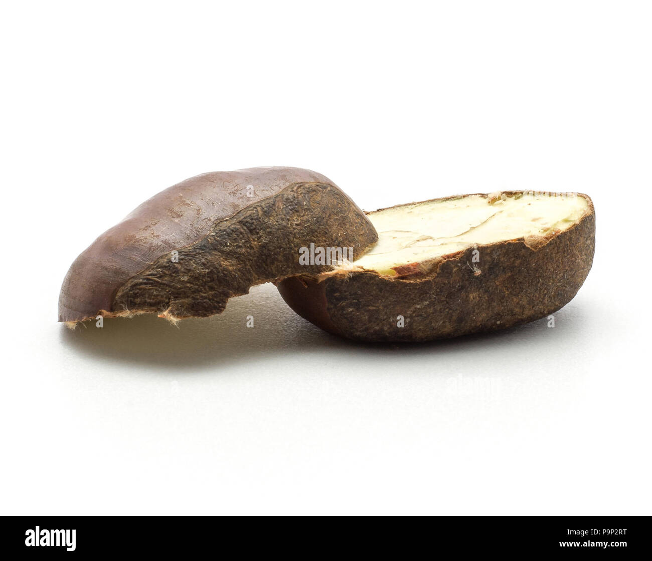 Chestnut blight hi-res stock photography and images - Alamy