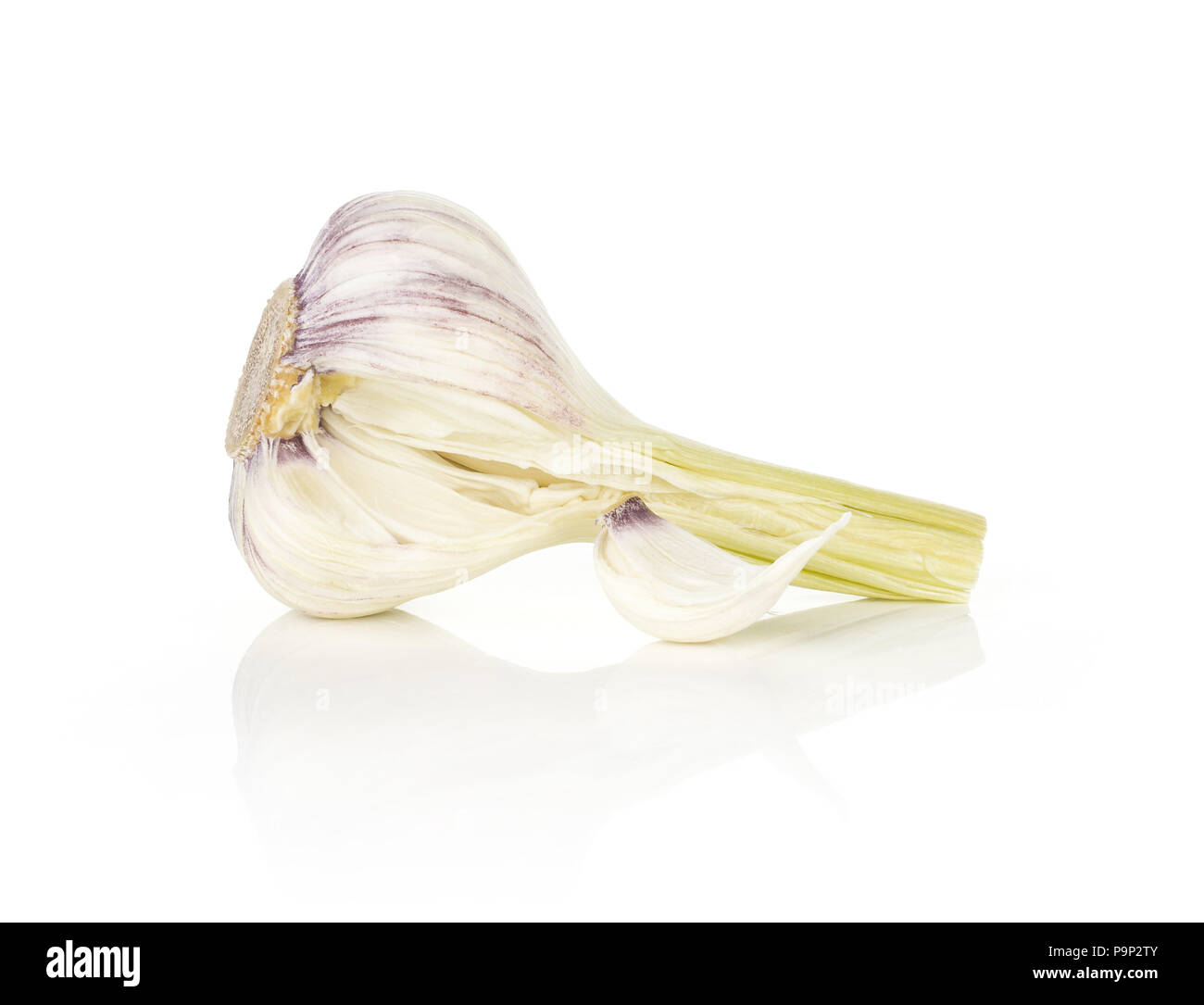 Young garlic open fresh bulb and one clove isolated on white background ...