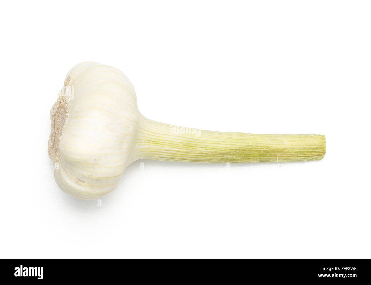 Garlic clove isolated top view hi-res stock photography and images - Alamy