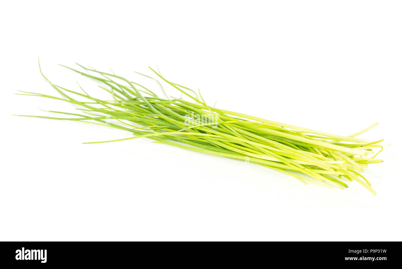Fresh chives bunch isolated on white background Stock Photo - Alamy