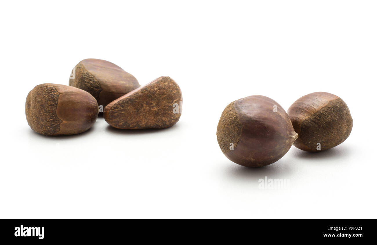 Group of 5 chestnuts hi-res stock photography and images - Alamy
