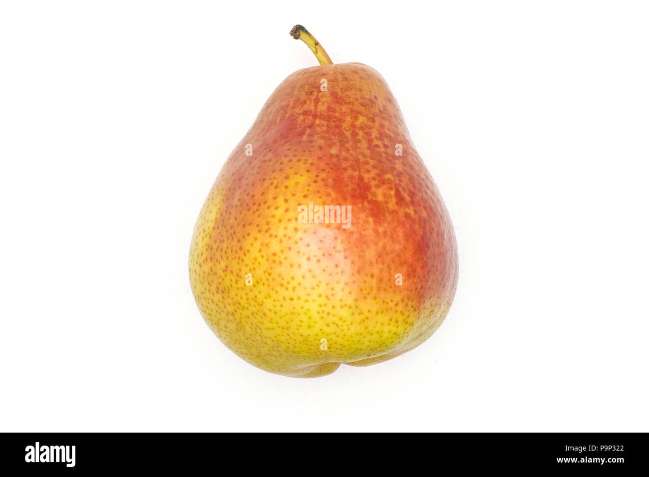 One whole fresh red pear forelle variety flatlay isolated on white ...