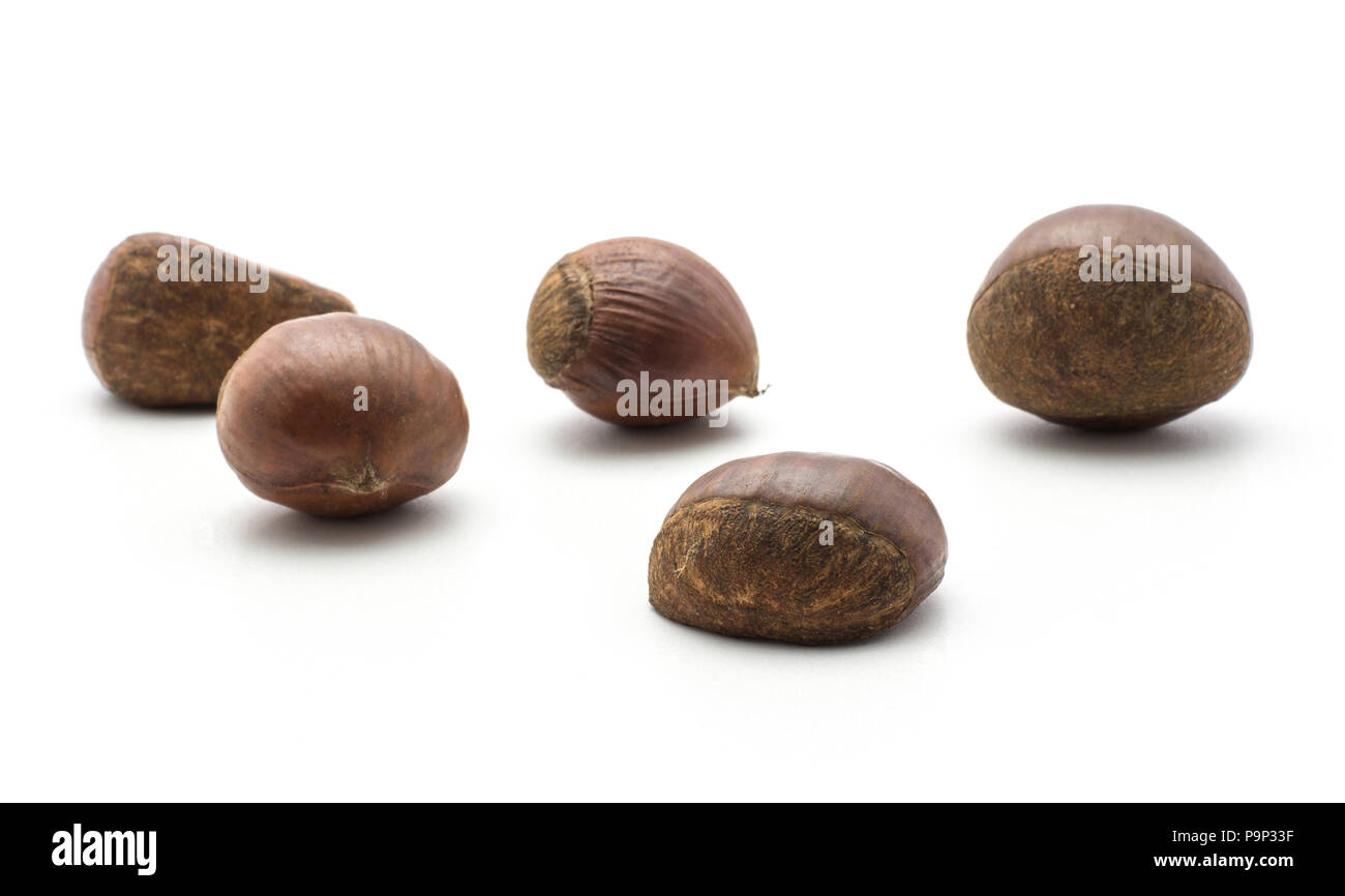 Five European chestnuts Spanish edible isolated on white background raw ...