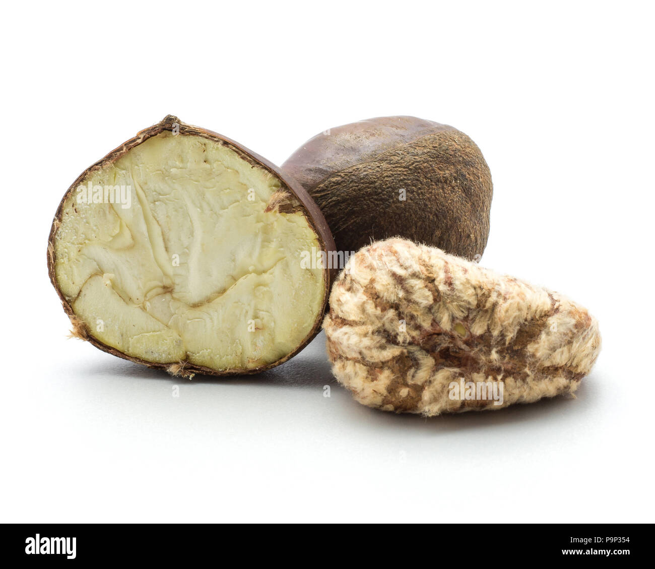 European chestnuts (half, peeled and whole) isolated on white ...