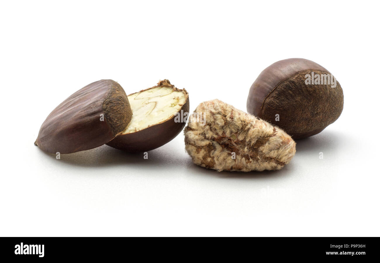 One sliced European chestnut one whole and peel Spanish edible isolated ...