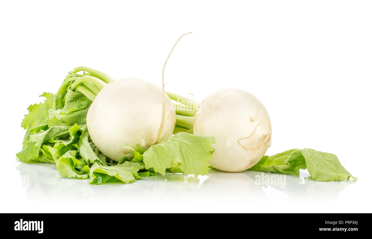 Two white radish bulbs with green leaves isolated on white background ...