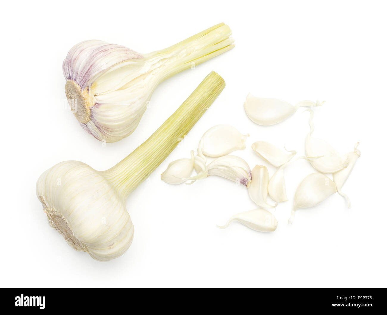 Two young garlic bulbs with cloves stack top view isolated on white ...