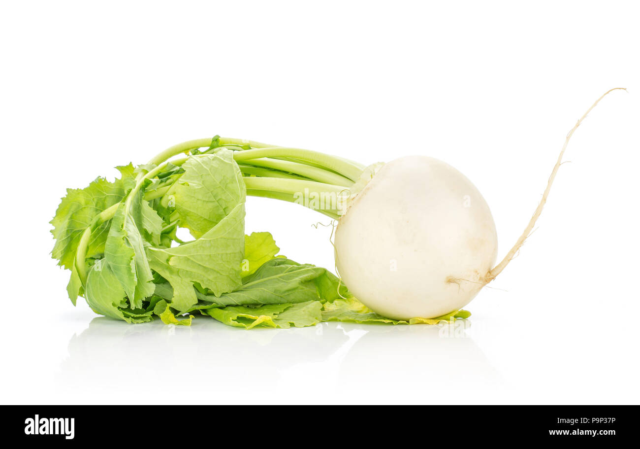 One white radish bulb with fresh leaves isolated on white background ...