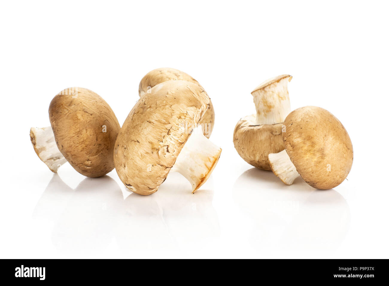 Five fresh brown champignons isolated on white background raw mushrooms ...