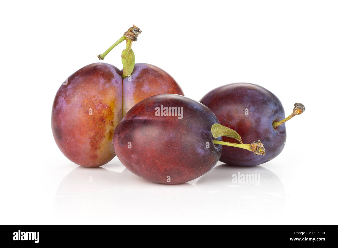Group of three whole fresh violet-blue plum vibrant moyer variety ...