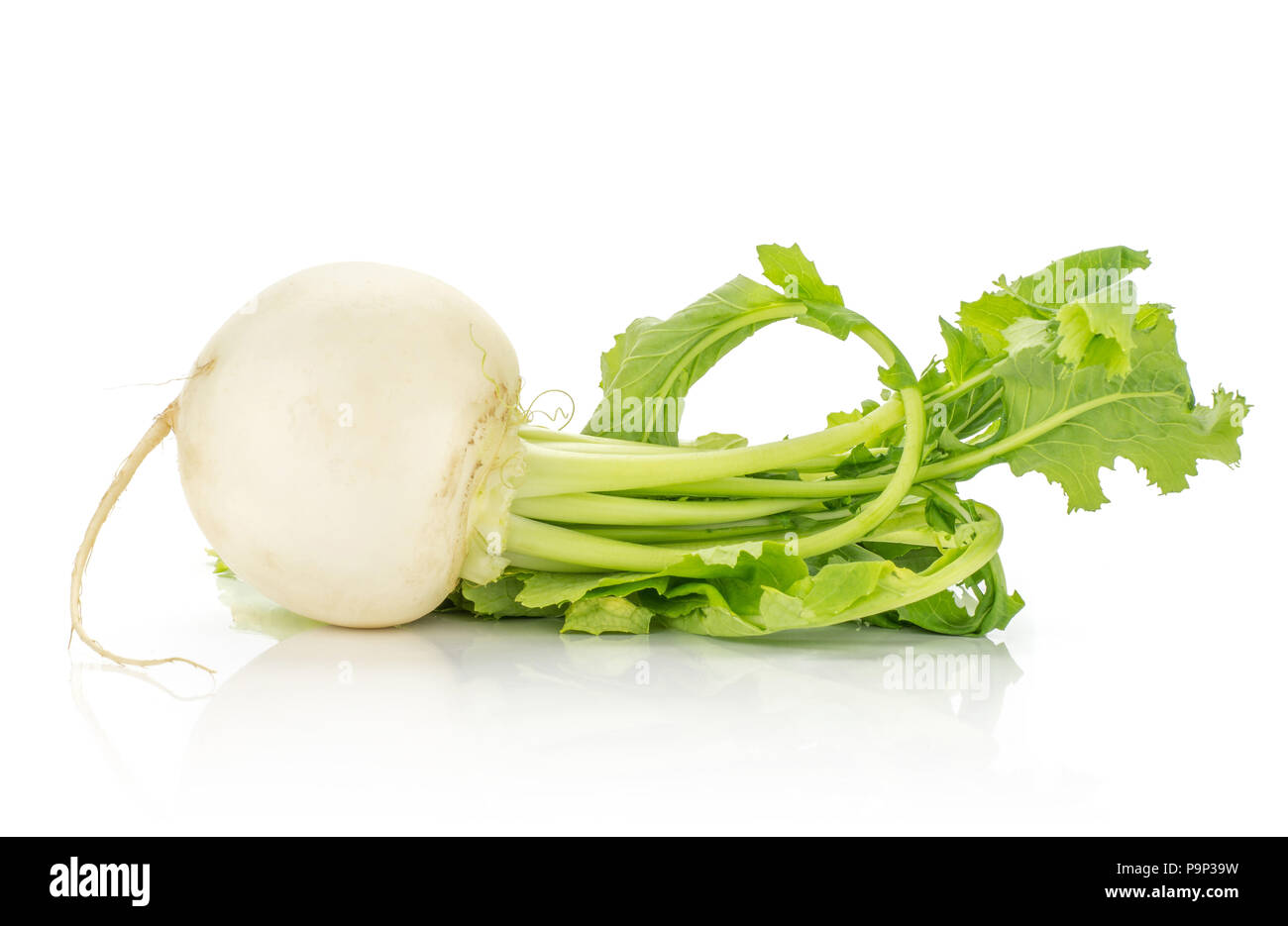 One white radish bulb with leaves isolated on white background Stock ...