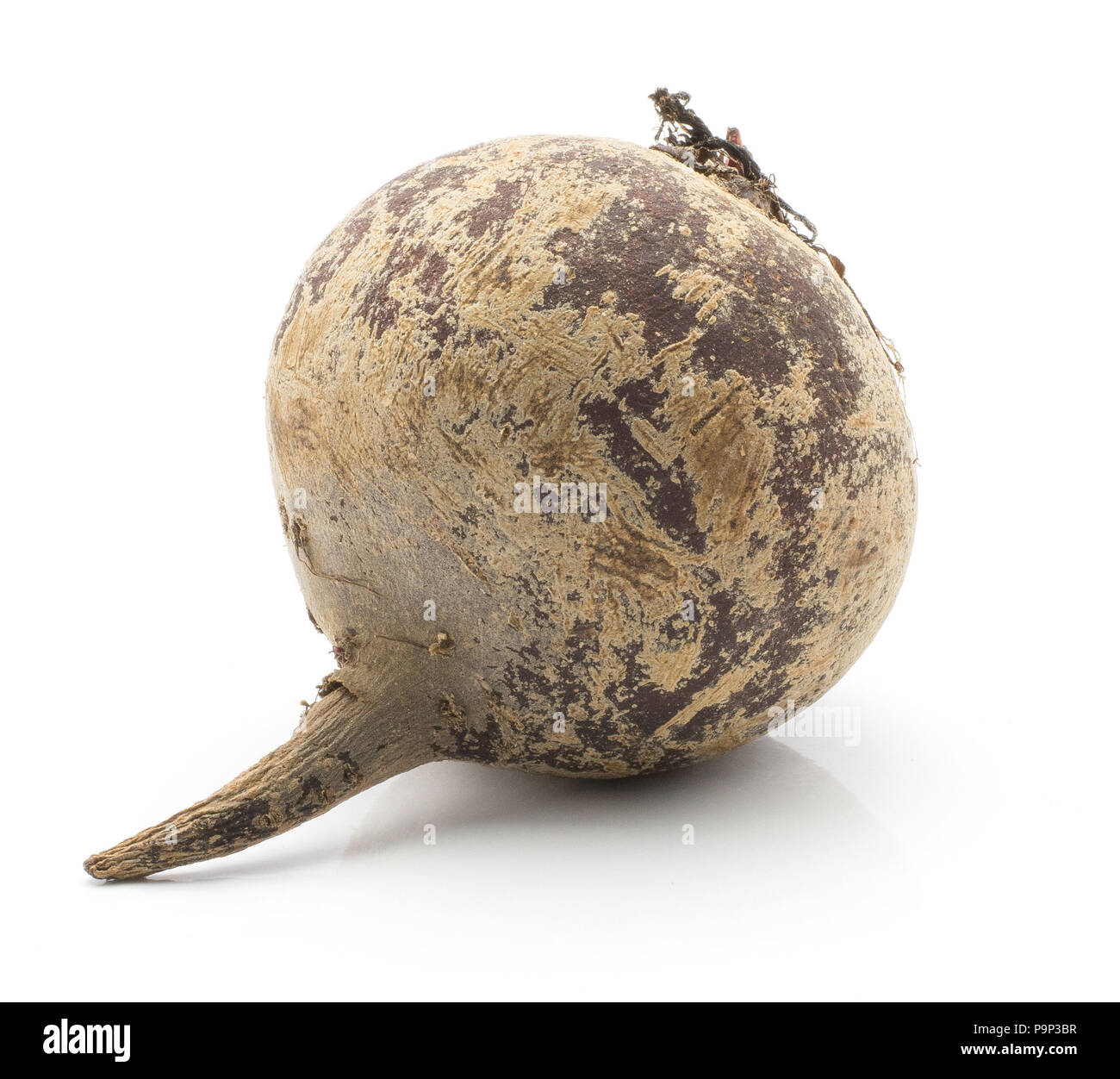 One beetroot bulb (raw red beet) isolated on white background Stock ...