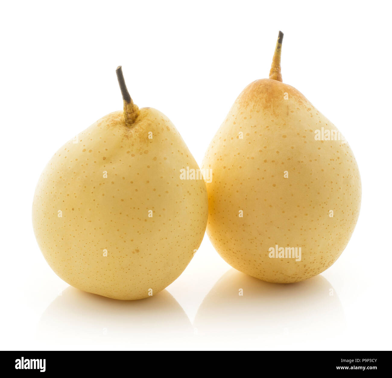 Two Nashi pears (Russet pear) isolated on white background whole yellow ...