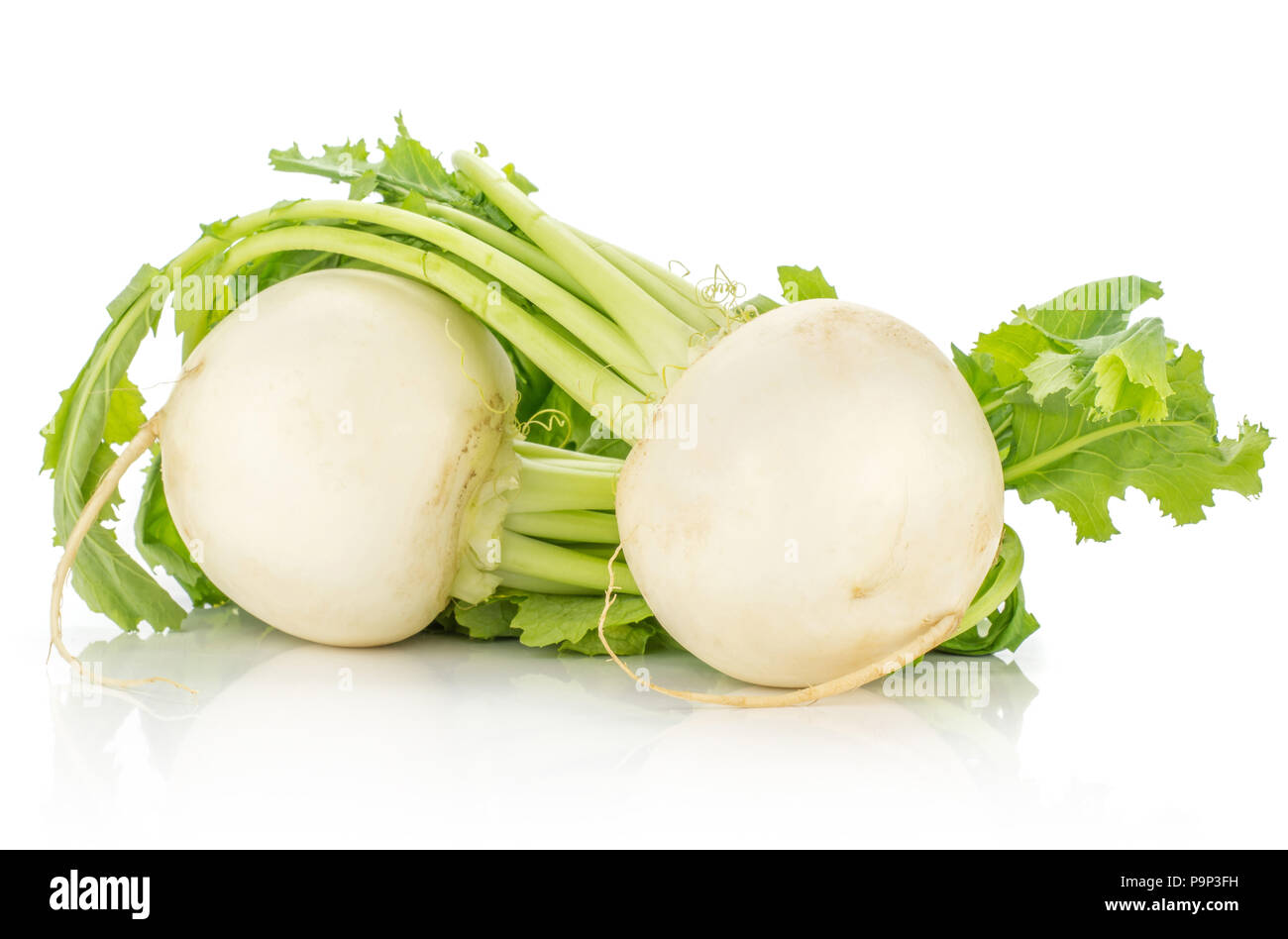 Two white radish bulbs with leaves isolated on white background Stock ...