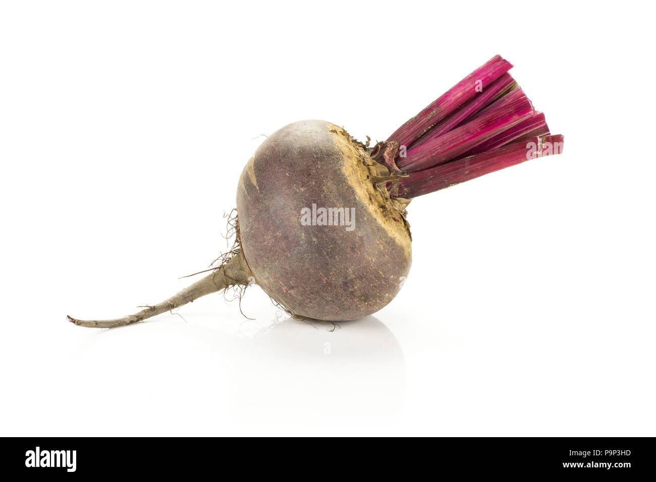 Red beet with cut tops one young bulb isolated on white background ...