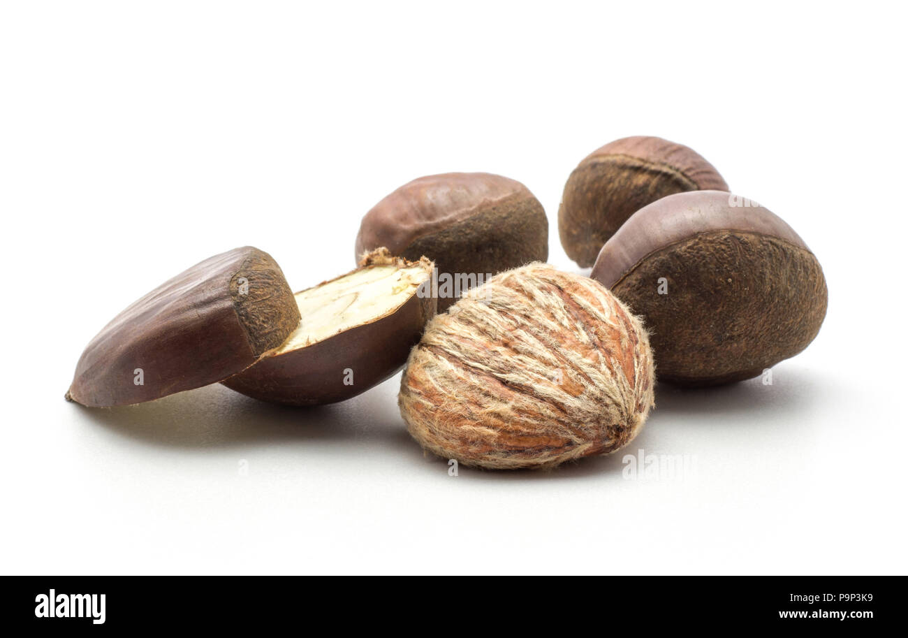 Three European chestnuts one sliced and peel Spanish edible isolated on ...