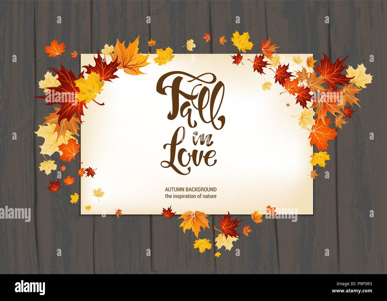 White blank for design Stock Vector Image & Art - Alamy