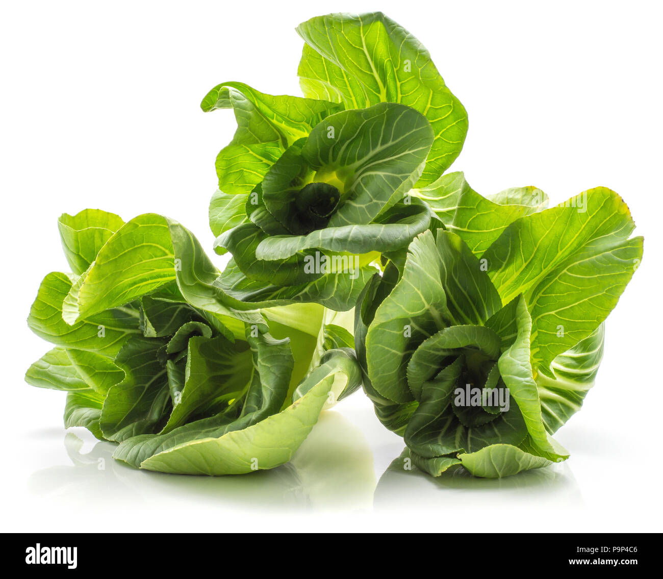 Pechay hi-res stock photography and images - Alamy